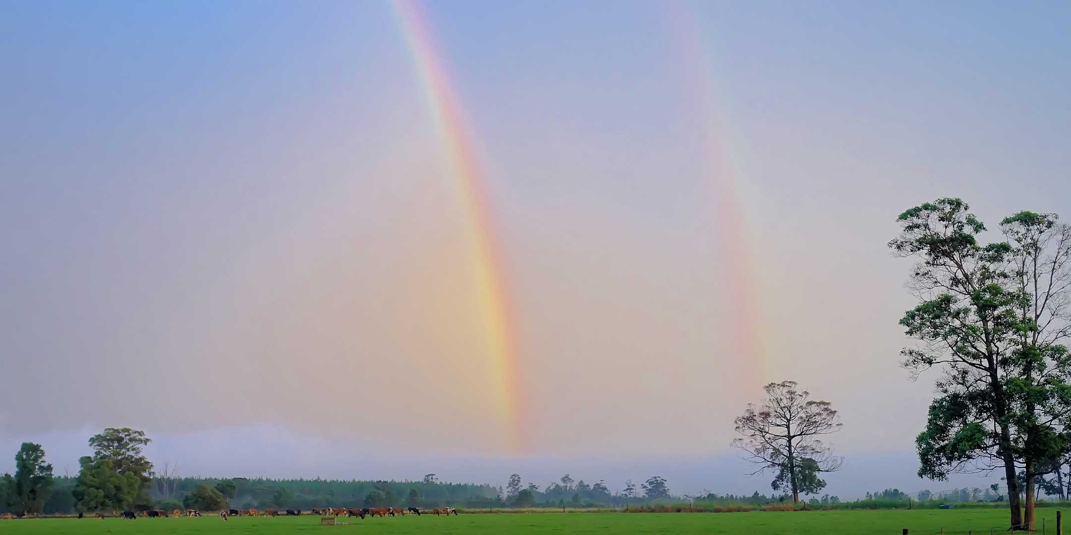 How to Beat Rainy Spring Weather | Noize